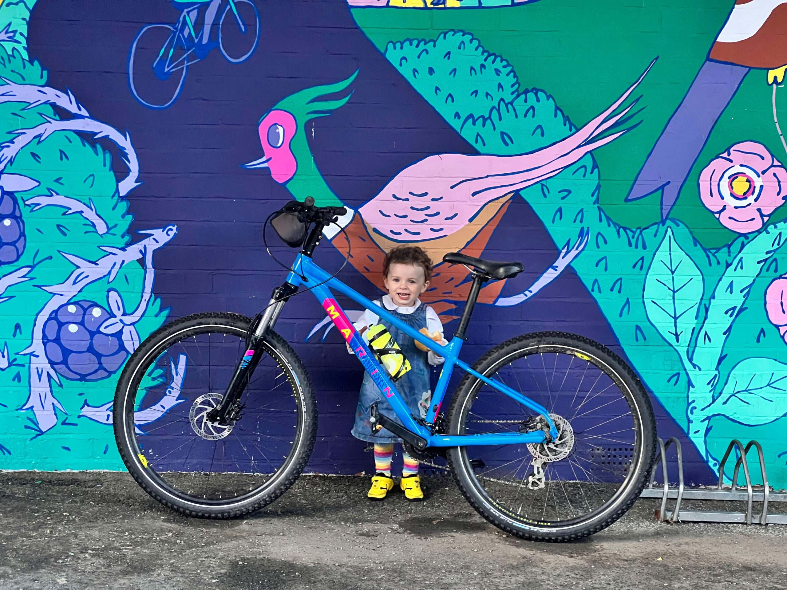 Discovering Mountain Biking